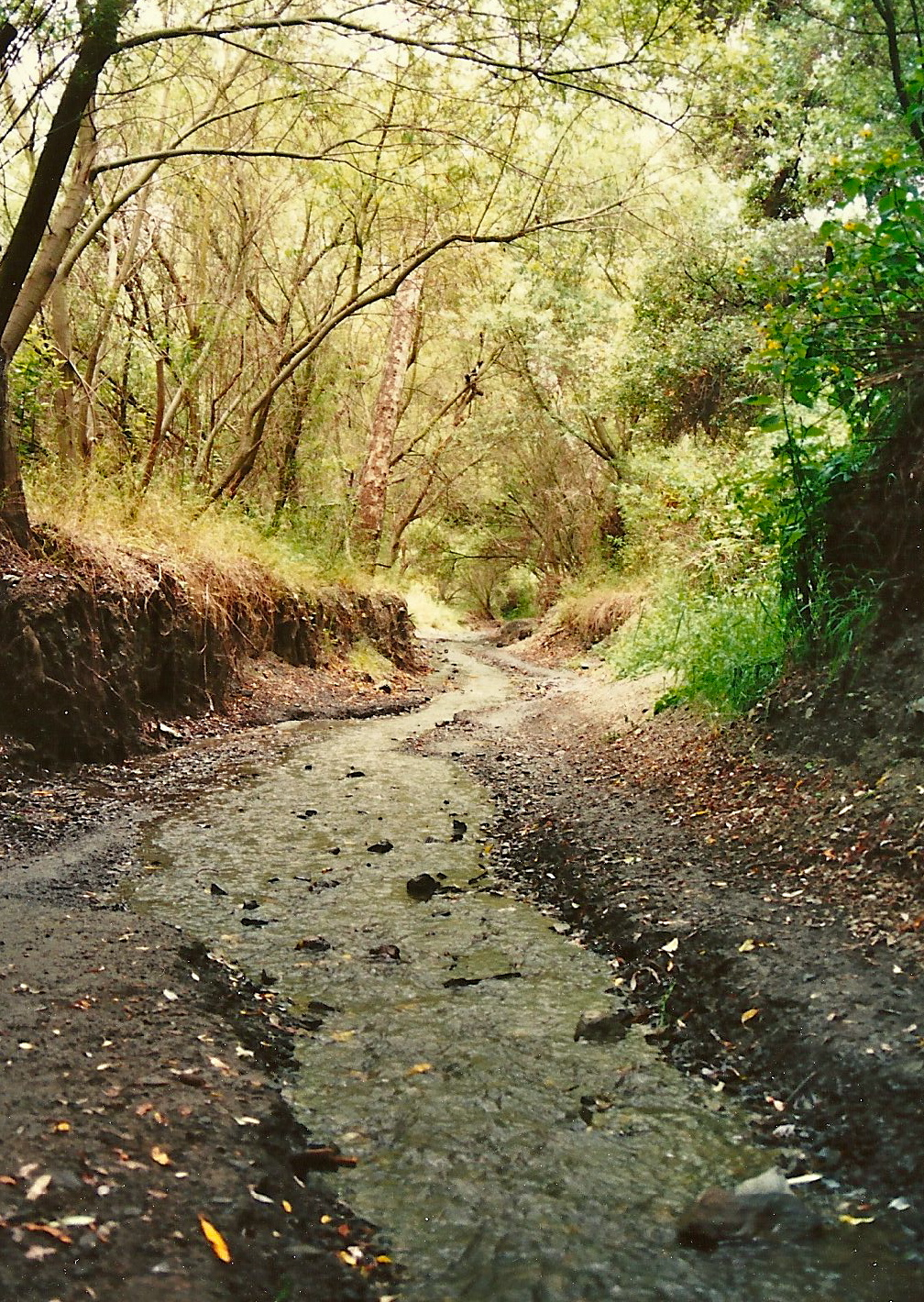 Experiencing Los Angeles: Experiencing L.A. in Sullivan Canyon, Santa ...