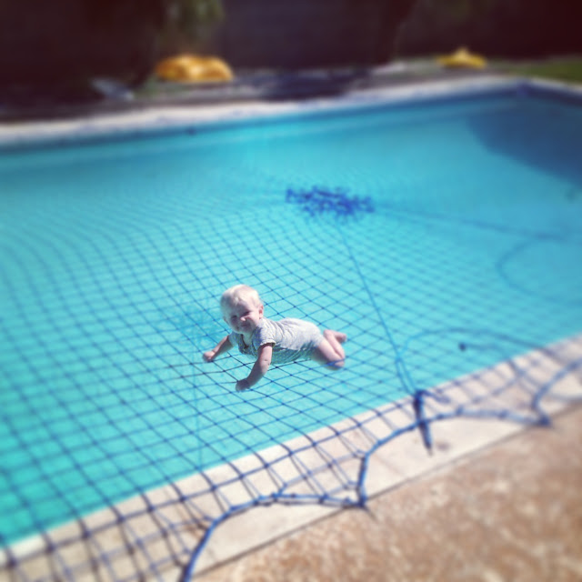 A Little Blueberry: Backyard Remodel & Pool Net