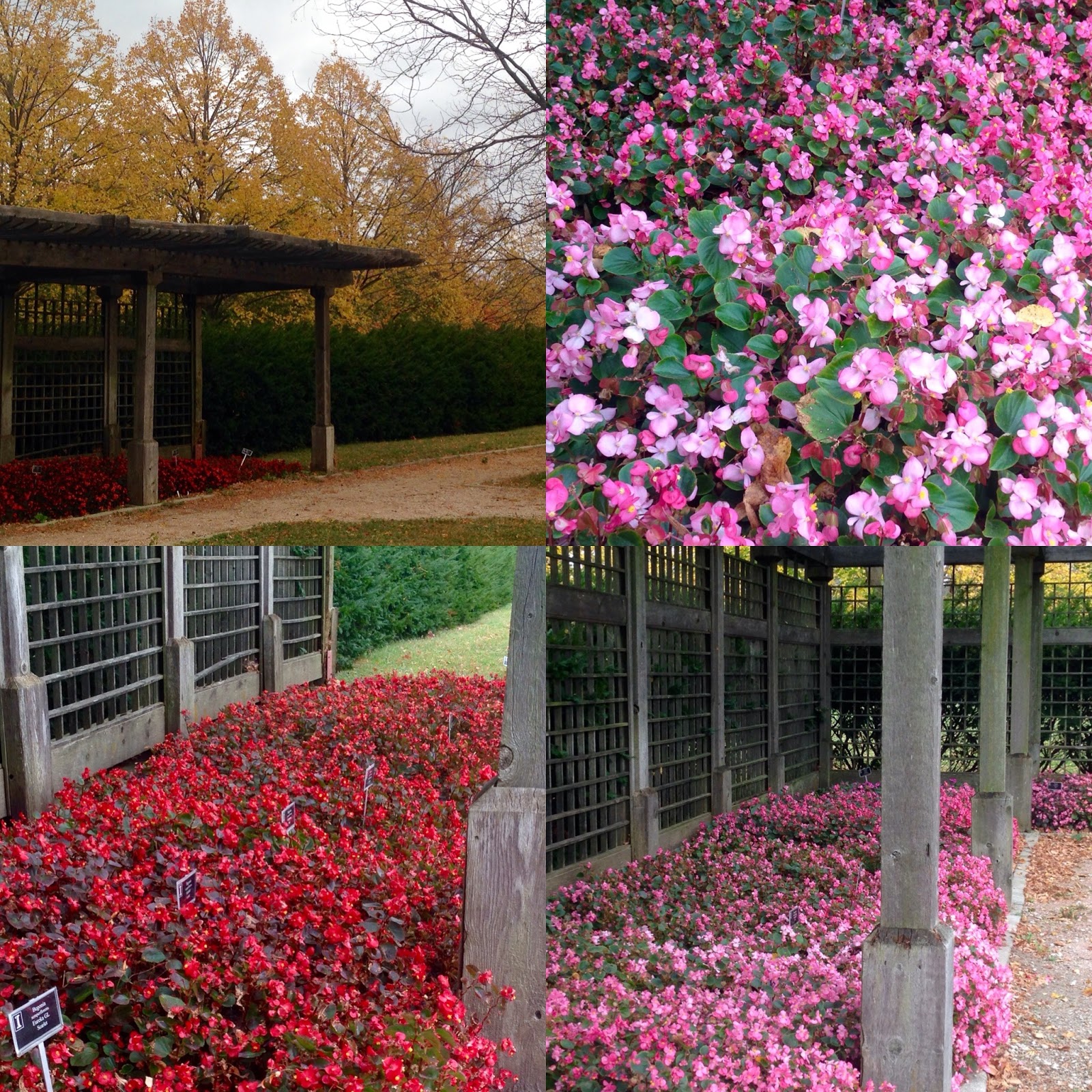 Amy's Creative Pursuits: The University of Illinois Arboretum