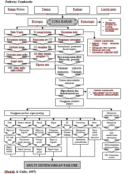 Zanzan Bharatasattama: COMBUSTIO