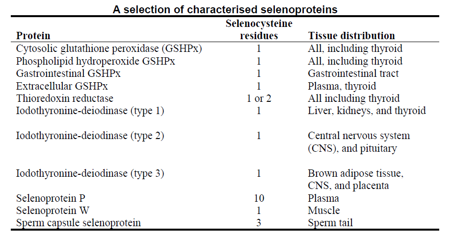Beautiful Nature: The Role of Selenium in Human Metabolic Processes