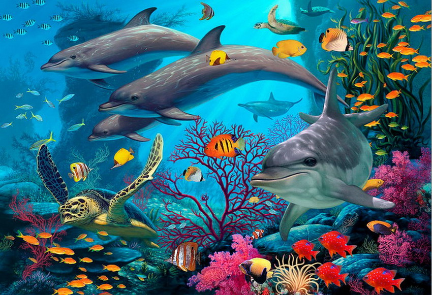 Animales Acuáticos ~ Los Animales