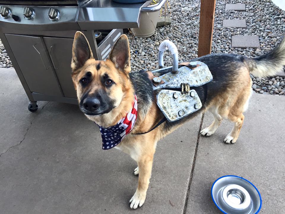Fallout 4 - Dogmeat Cosplay