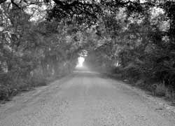 One Dusty Track: Route 66 and Bonnie & Clyde