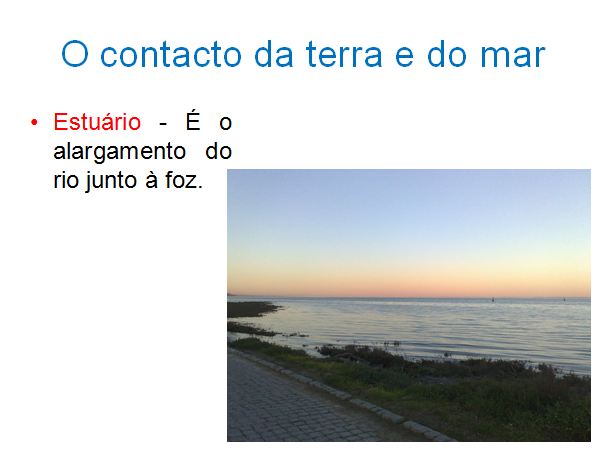 Ler e Compreender para Aprender: Aspectos da Costa
