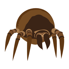 Découvrez comment éliminer les acariens de votre lit