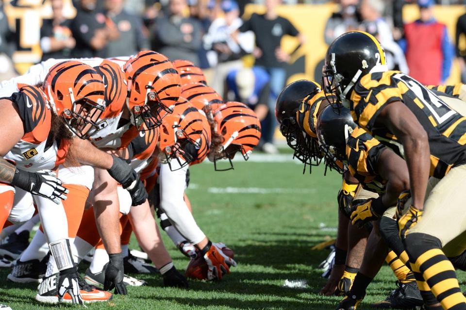 Joey Porter's Pit Bulls