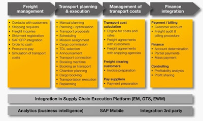 SAP TM Online Training in Singapore