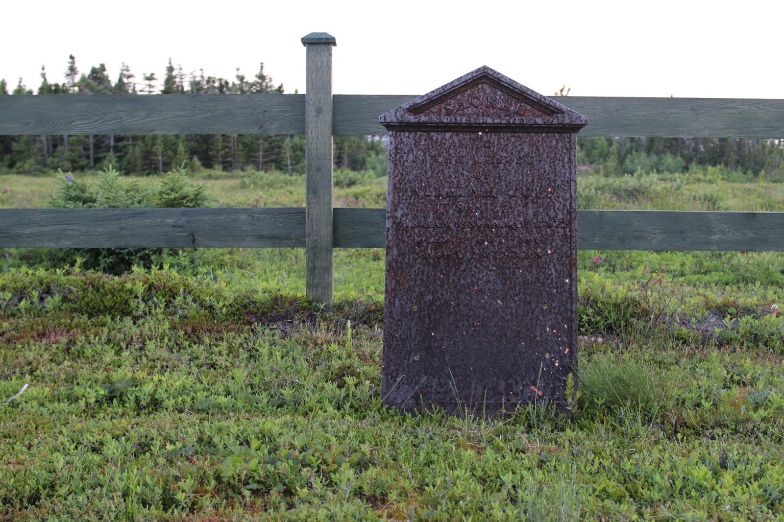 ICH Blog: Do You Know of Any Metal Grave Markers in Newfoundland and ...