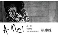 ~Chinese Music Collection~: A-Mei / 张惠妹