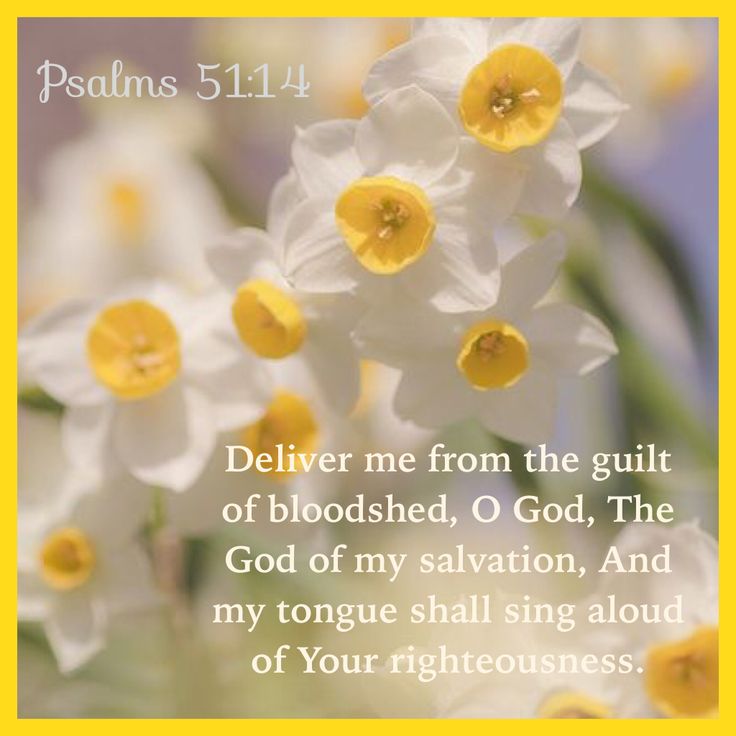 Thoughts From Another Home Living Sacrificially A Psalm 51 14 17 Thoughts From Another Home Living Sacrificially A Psalm 51 14 17