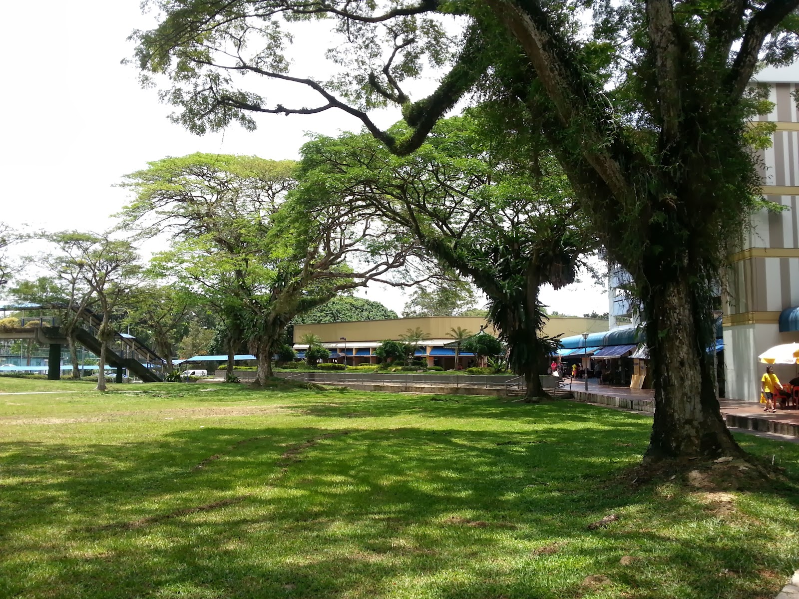 Freedom LC Life: Teo Chap Bee Eating House at Blk 19 Marsiling Lane