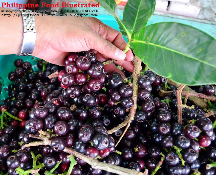 Philippine Food Illustrated: lipote