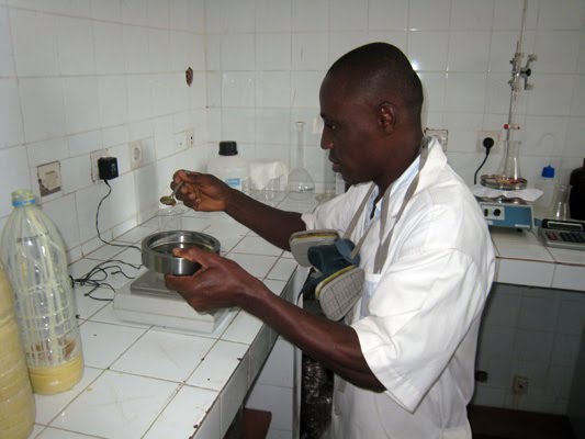 Pictures of African Cocoa Farming: Saf Cacao (15)