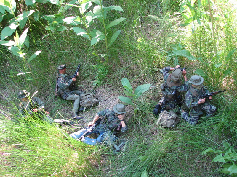 Vietnam -THE WAR PLUS AGENT ORANGE and MORE : SECRETS OF VIETNAM: THE ...