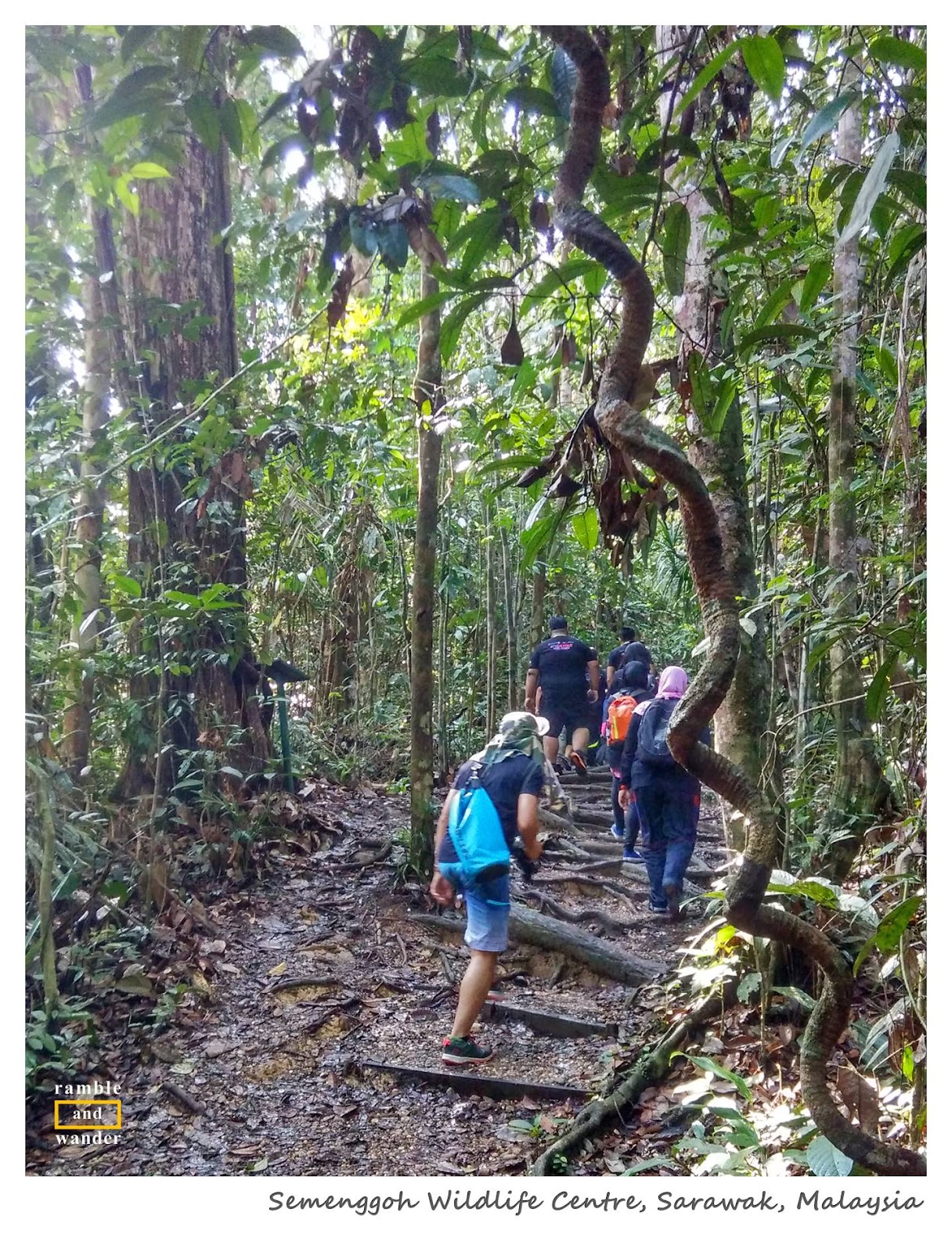 Getting in Touch with Nature: Semenggoh Wildlife Centre & Semadang ...