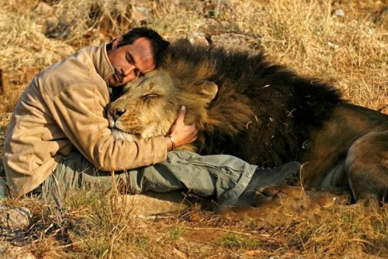 Choose Your Magic Travel: 5 Amazing Friendship Stories: when man and an ...