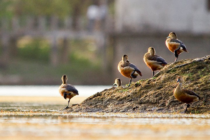 Floating Hide Photography: My first attempt with Floating Hide Photography