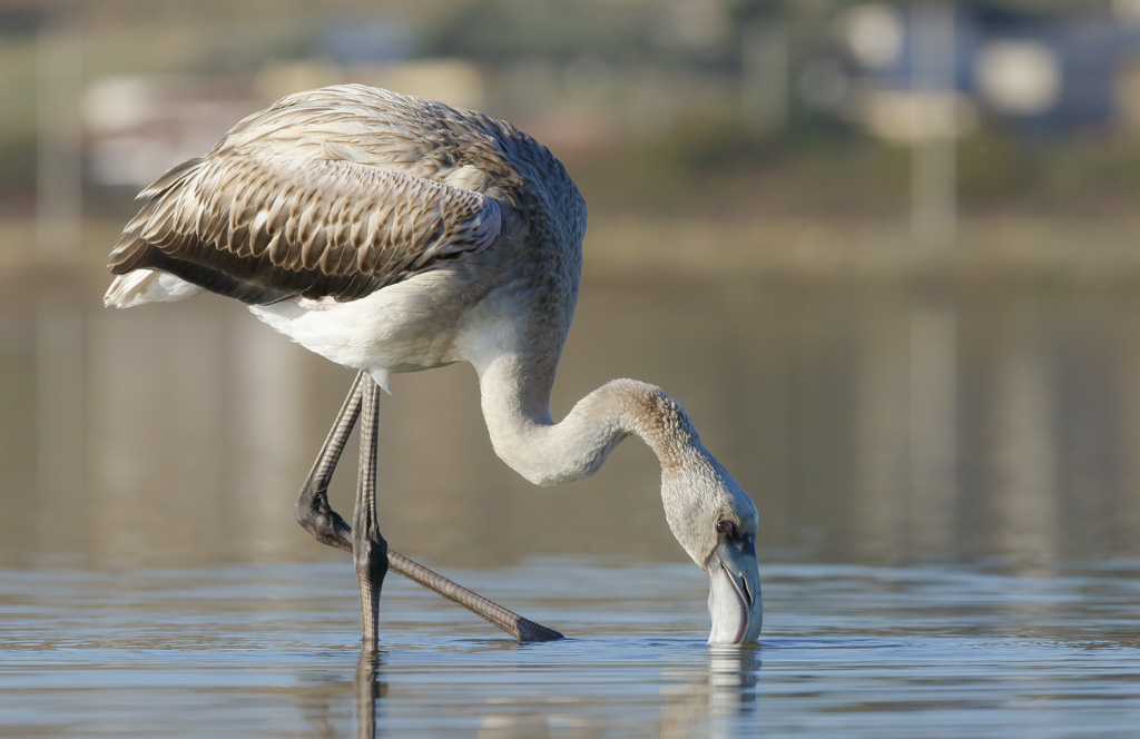 Nikos Fokas Photopraphy Blog