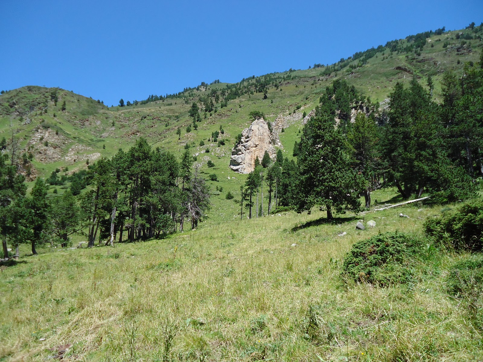 Le Blog "PYRENEES et NATURE" de Benjamin JOFFRE: 31/7/2011: Vallée du ...
