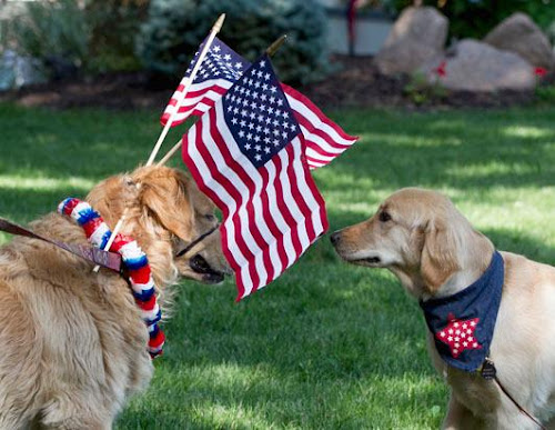 One Perfect Bite: Independence Day - Part One