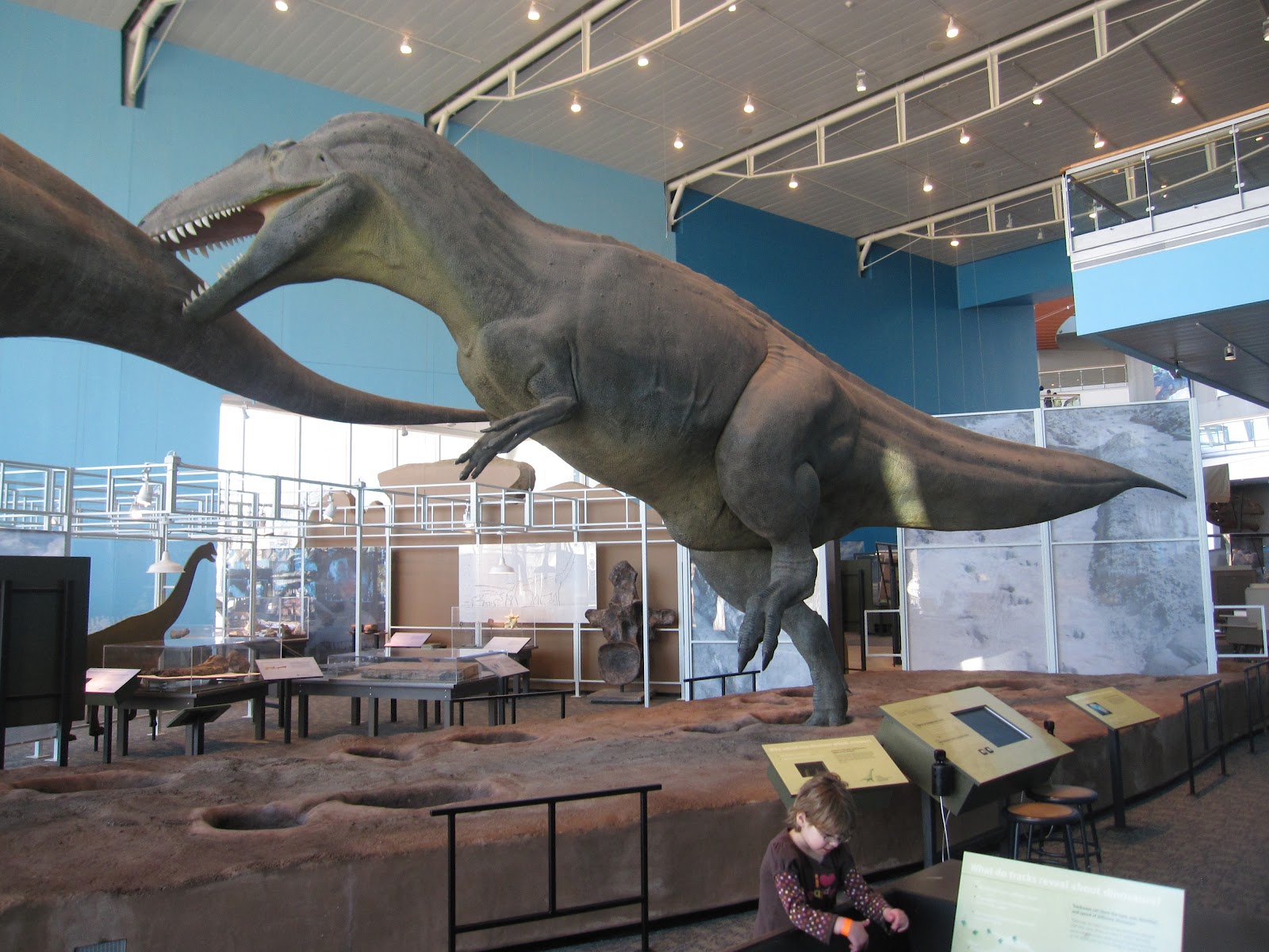 After One Crazy Summer...: Maryland Science Center