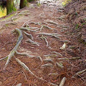 Photographers International: "China-12" Fine Art Photography of China ...