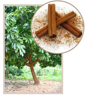 Productos Naturales FranCa