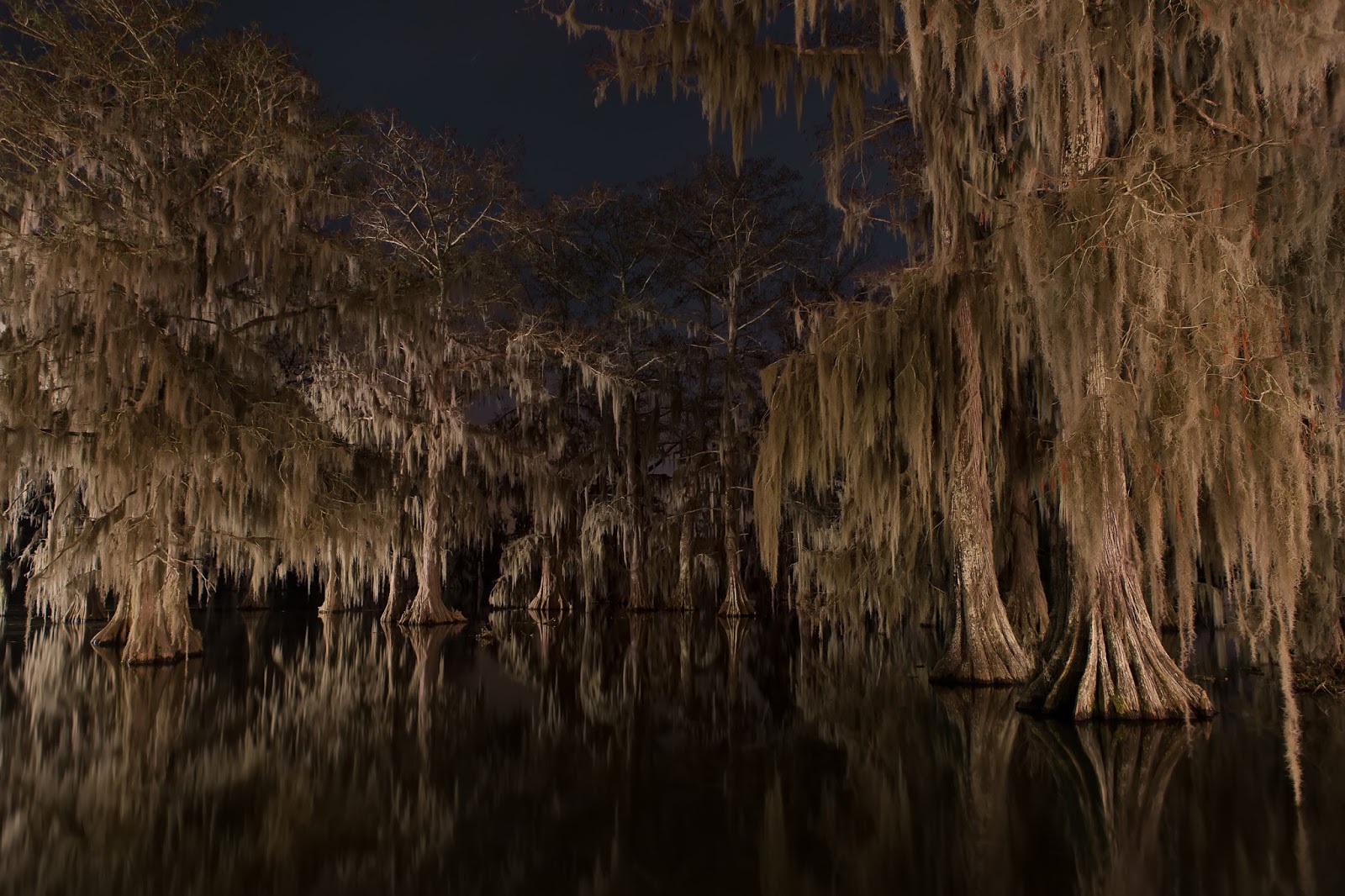 Louisiana Bayou Night