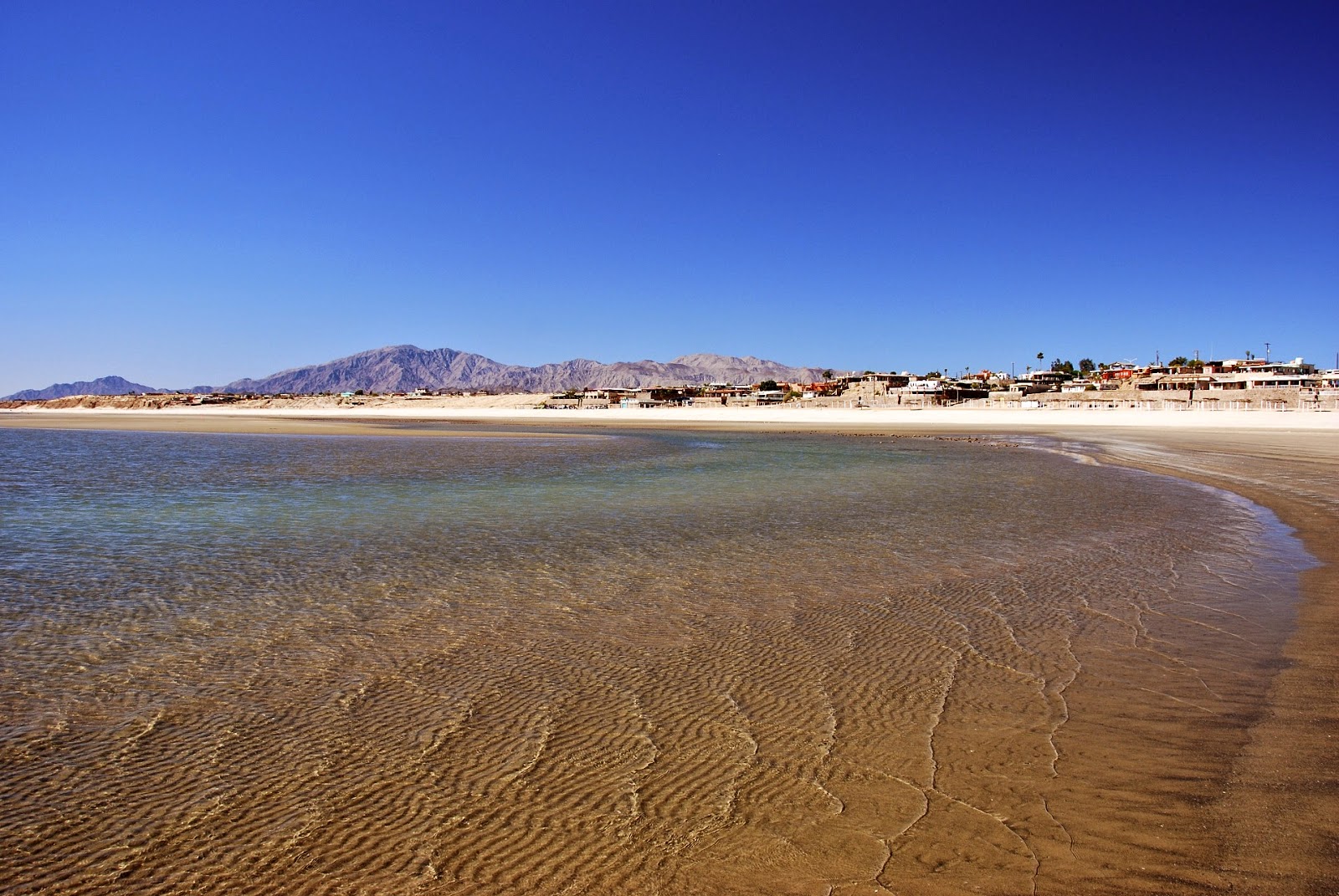 Travels with L (and sometimes Z & F): San Felipe, Mexico