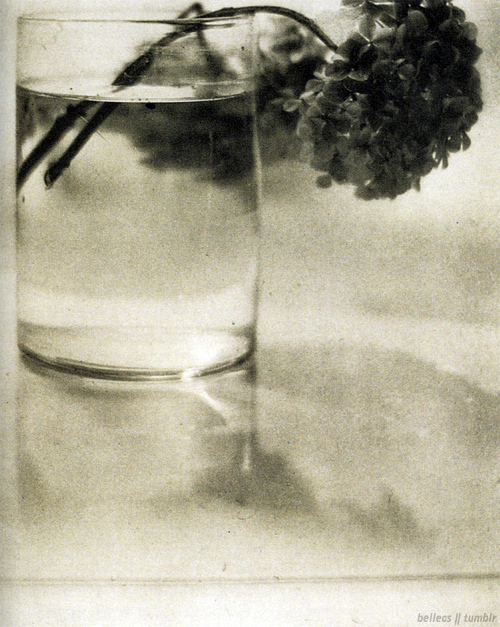 Emmanuel Chaussade: Adolf de Meyer