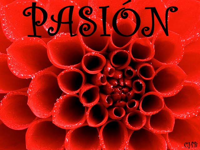 Aquí Estamos Blog:: PASIÓN.