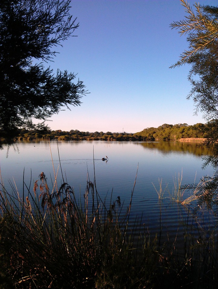 Reez's Gap Year: The Things I Deem Bloggable: Lake Goollelal