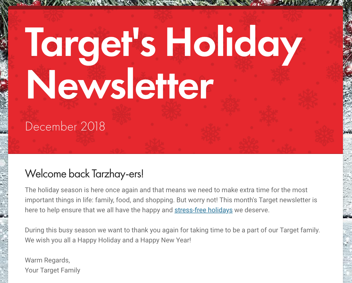 Ryan's Blog: Target's Holiday Newsletter