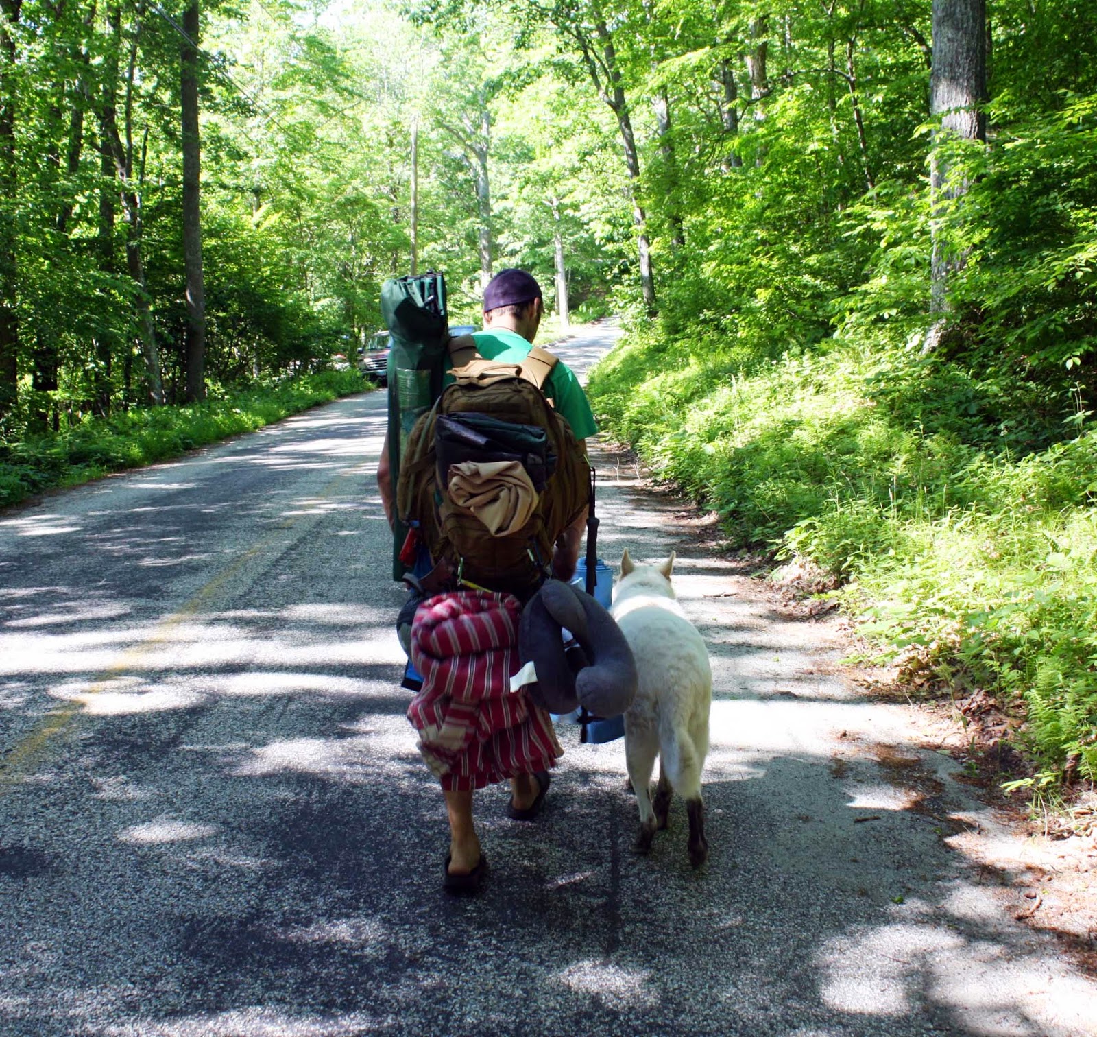 Visibly Moved: Camping at Pachaug State Forest