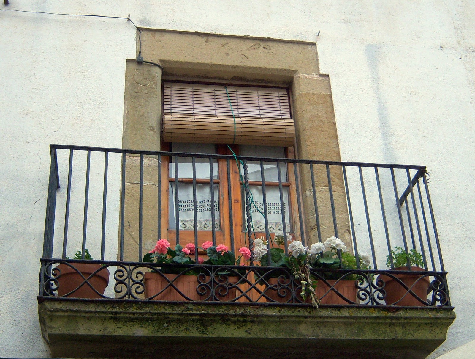 Isensebotànic: Balcones