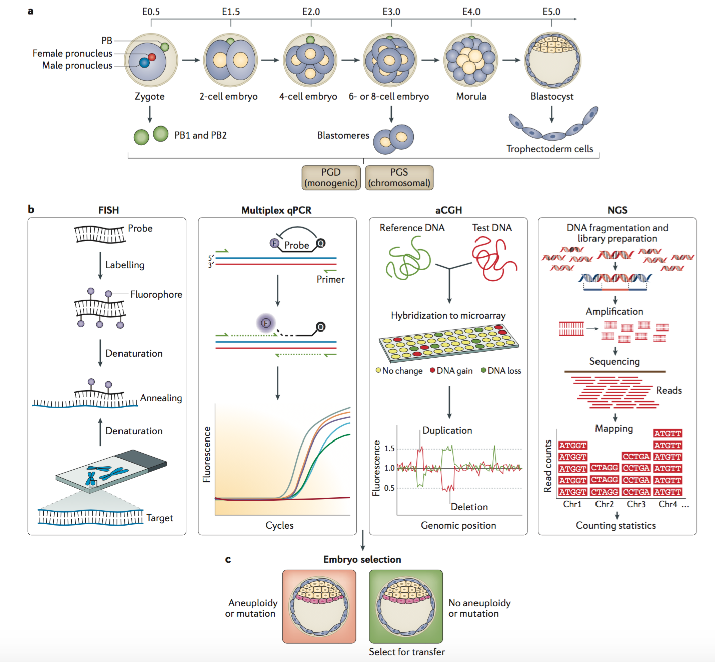 Information Processing: Prenatal and pre-implantation genetic diagnosis ...