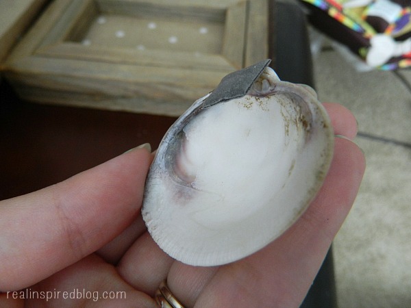 Real Inspired: Super Easy and Cheap DIY Seashell Art