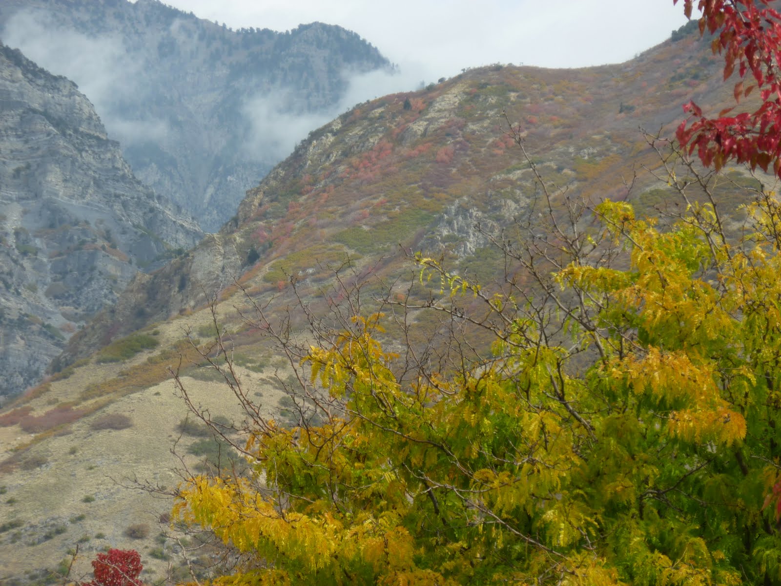 A Place to Share: Fall color shots while walking in Provo