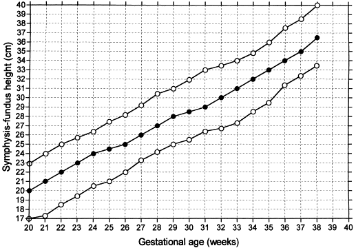 Journey of Butterfly: Gravidogram