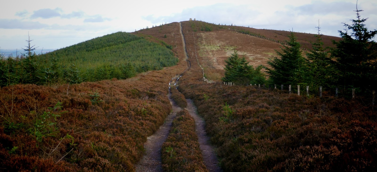 best part of the day: Tweed Valley Ultra Recce and Oct TB