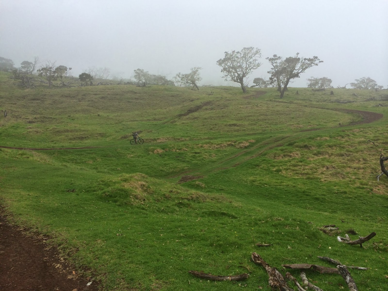 Randonoodler: Riding The Big Island's Mana Road