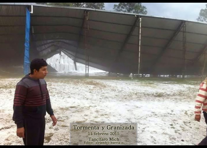 AGROFRUT ZAPOTLAN SA DE CV: GRANIZADA: GRANDES AFECTACIONES EN EL ...