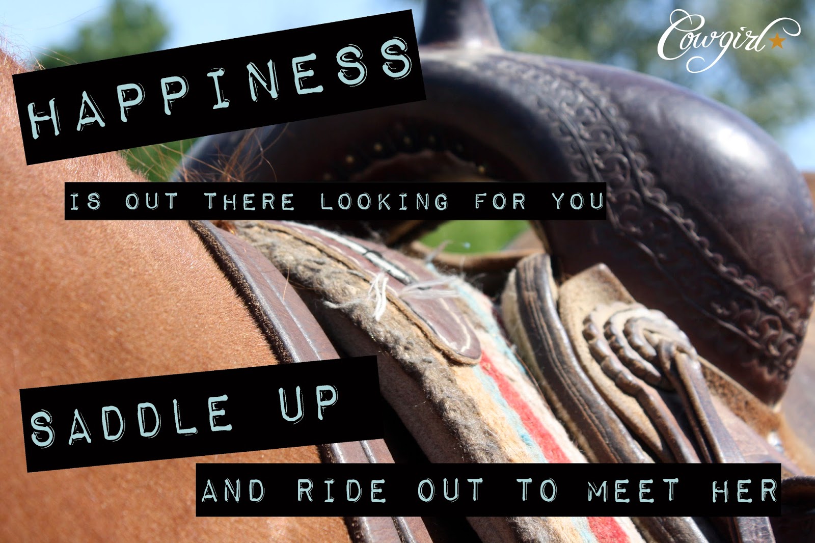 Allison Trimble: Willfully Guided Horsemanship