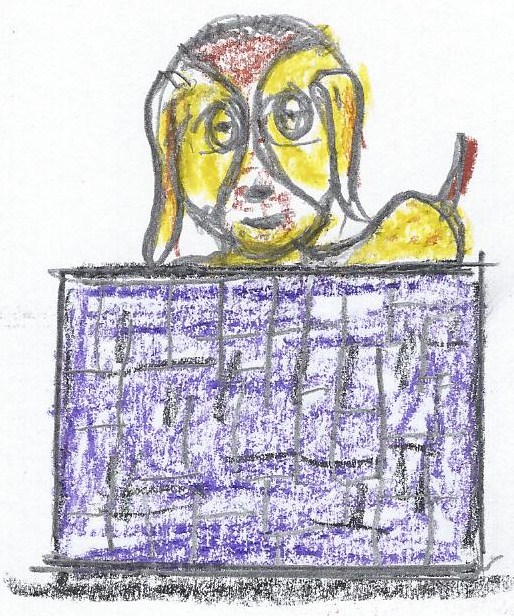 Johnny Smart's Poems, Lyrics, Short stories, and Novels: Timid the ...