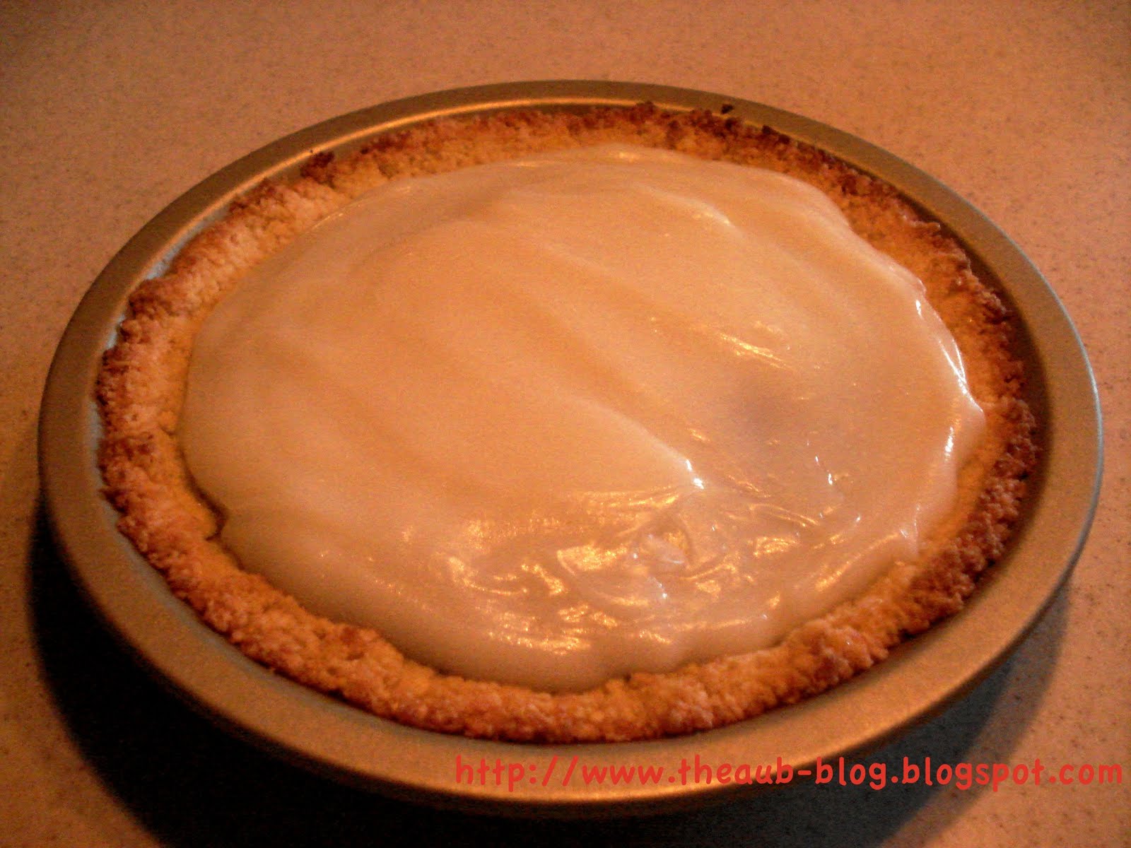 the aub-blog: Ono Chocolate Haupia Pie