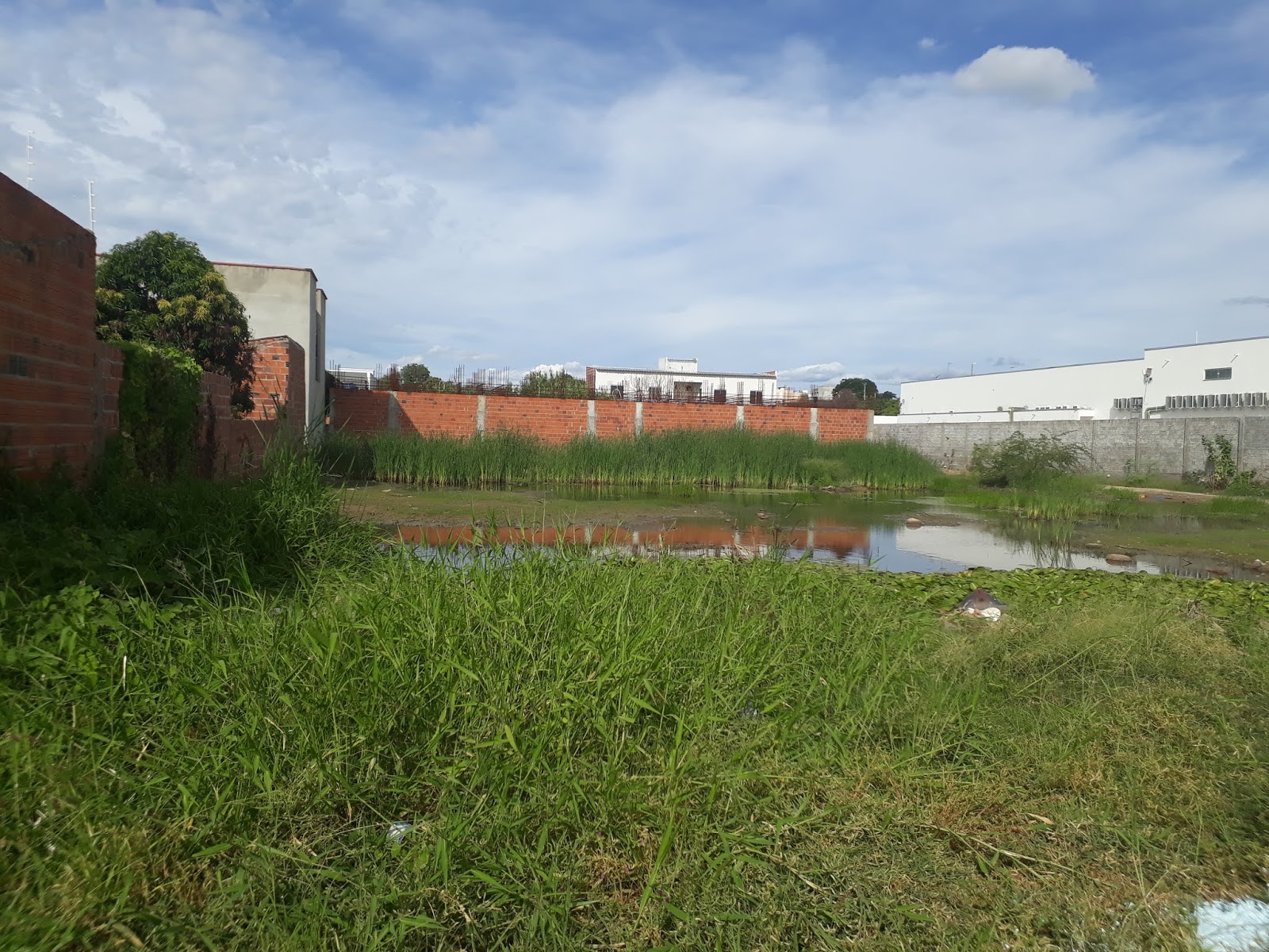 TV LATINHA: Moradores reclamam de ruas sem pavimentação, lama, lixo e ...