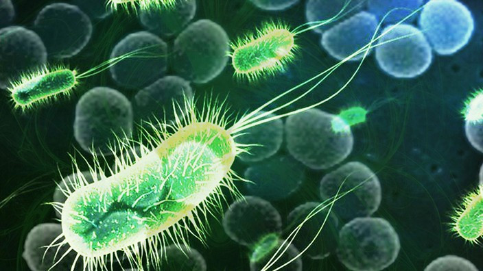 Human bacteria produce electricity