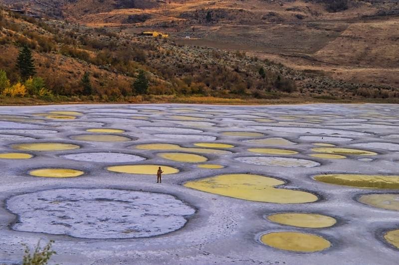 World's Beautiful Landscapes.: Spotted Lake, Canadian town of Osoyoos