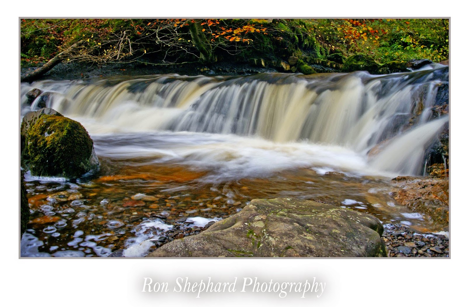 Campsie Photographs: October 2014